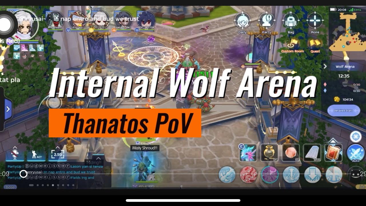 TADAIMA: Internal PVP Wolf Arena - 02.17 - YouTube