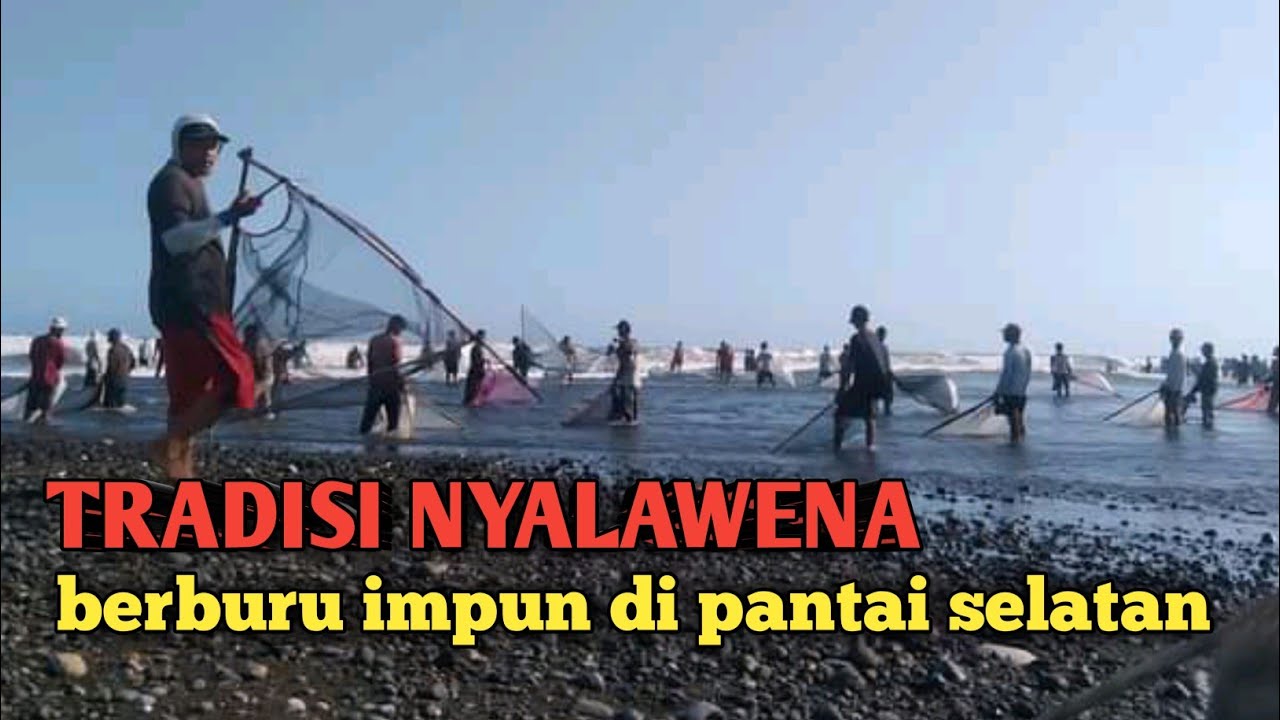 TRADISI NYALAWENA NANGKAP IKAN IMPUN DI PANTAI SELATAN - YouTube
