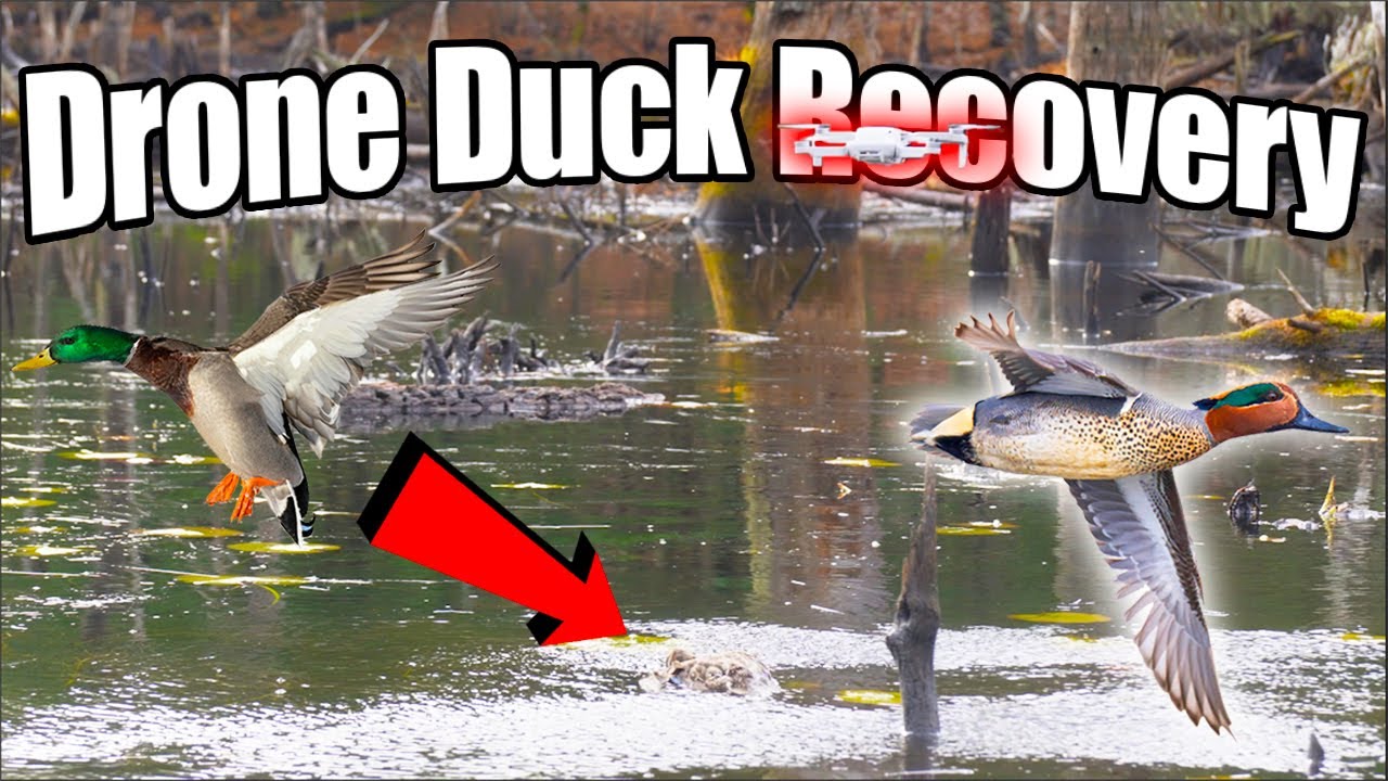 I Recovered a Duck With a DRONE (Duck & Pheasant Hunting) - YouTube