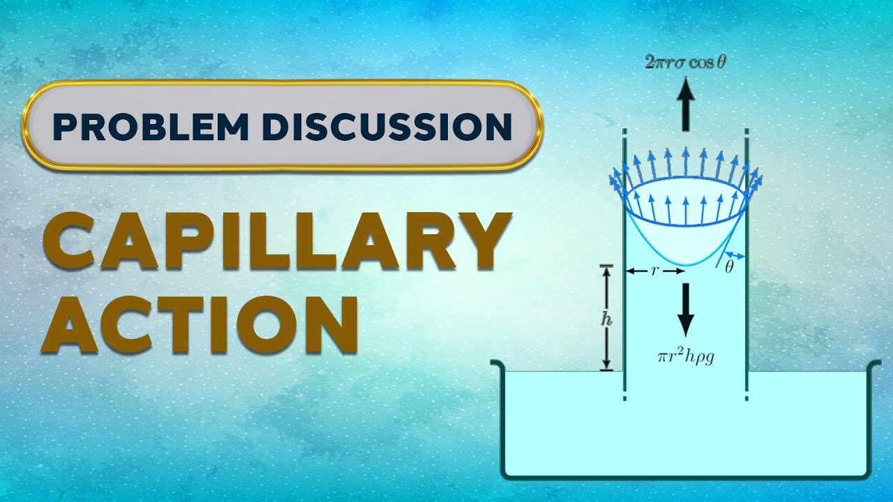 Problem Discussion on Capillary Action | Class 11 Physics | Fluid ...