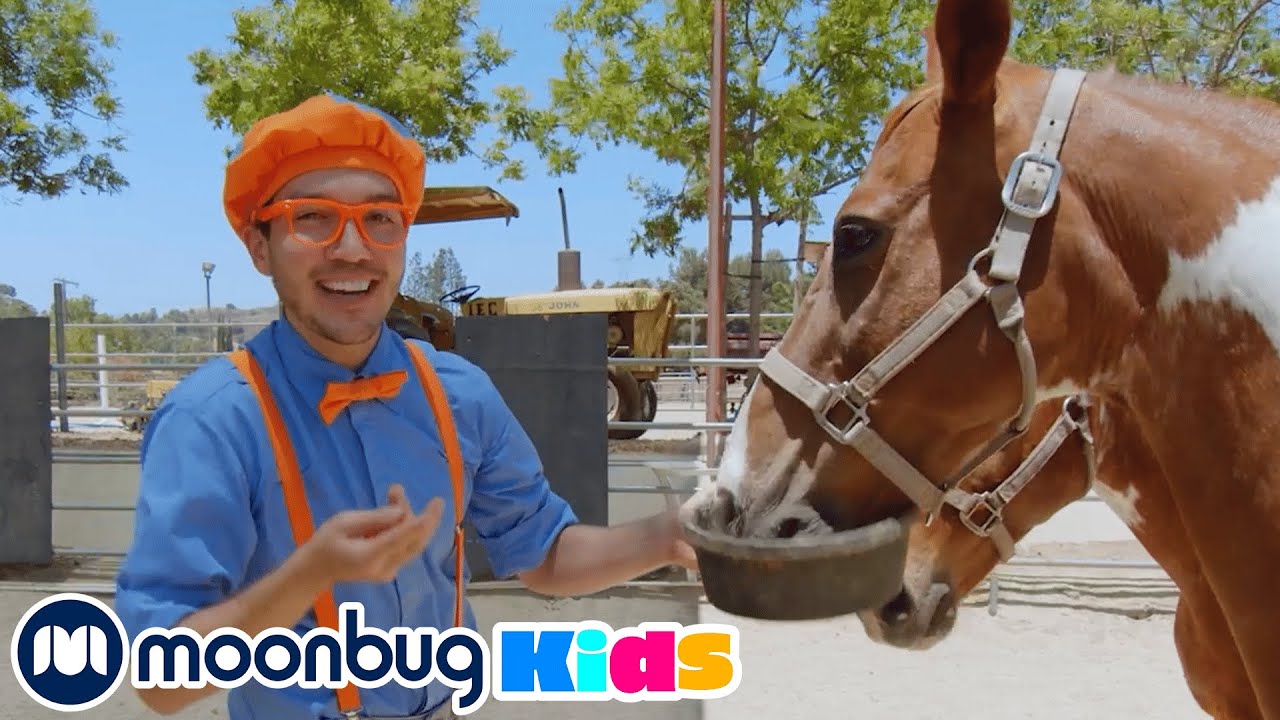 Blippi visits Danny's Farm! | Educational Videos for Kids | Playground ...