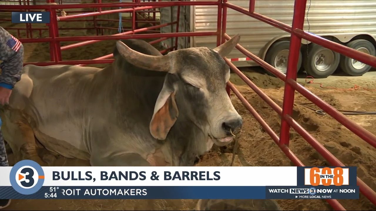 In the 608: Bulls, Bands and Barrels in Madison this weekend - YouTube