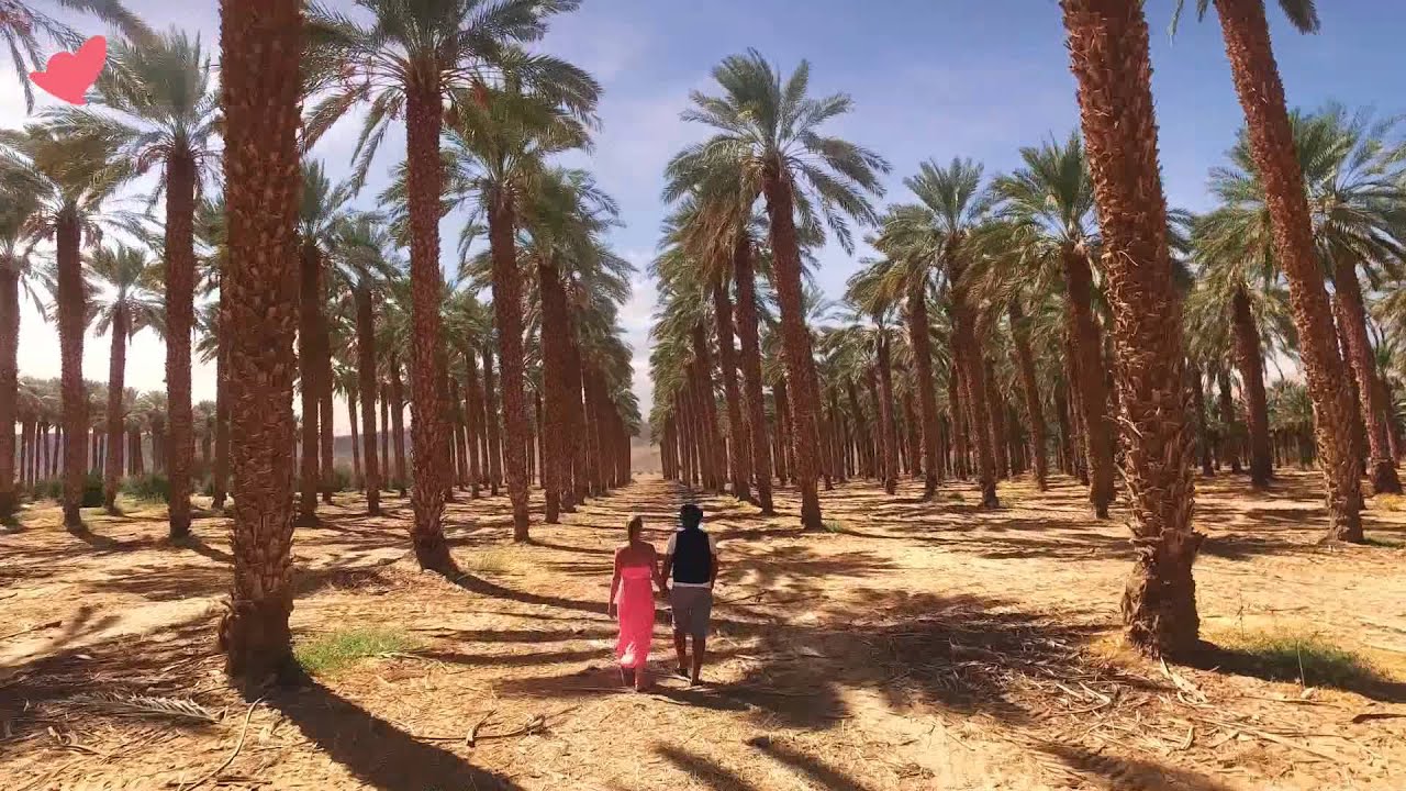 Romantic proposal in the desert | James Allen #WhereWillYou Proposal ...