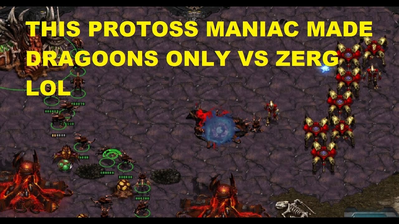 THIS PROTOSS MANIAC MADE DRAGOONS ONLY VS ZERG LOL - YouTube