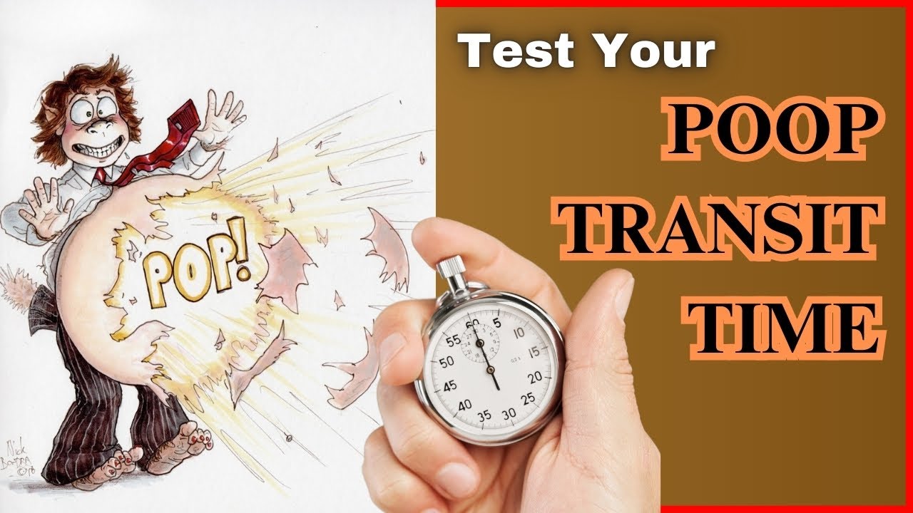 Why is Stool Transit Time Important for Digestive Health? - YouTube