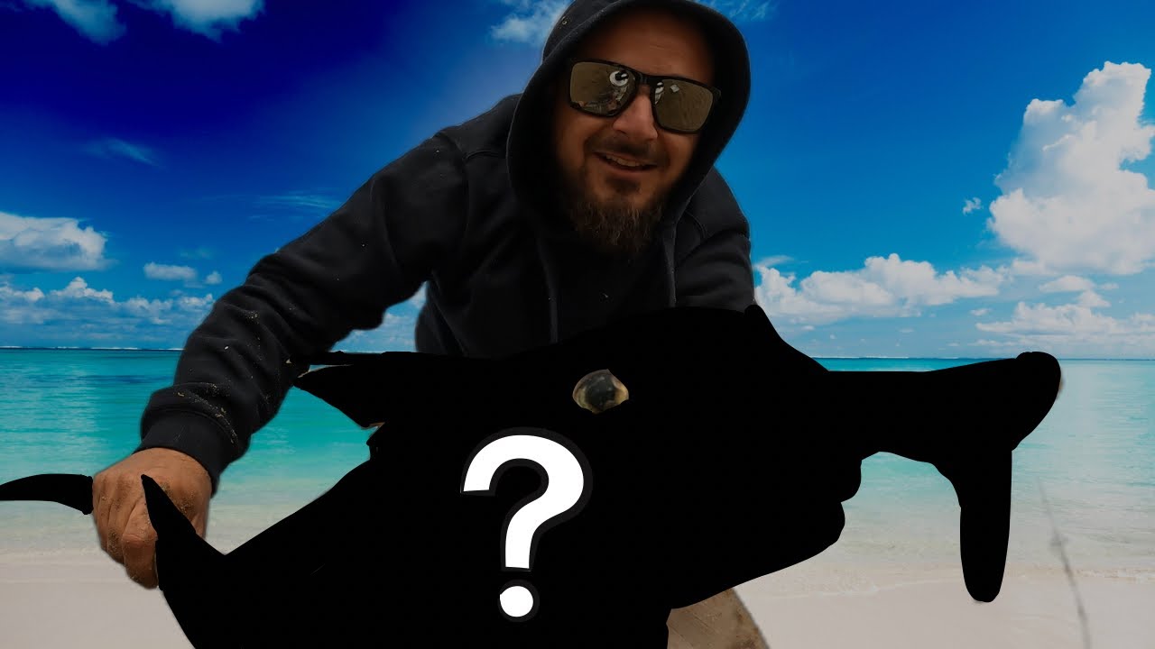 The Alien of the Deep: I caught a Bizarre Sea Animal! - YouTube