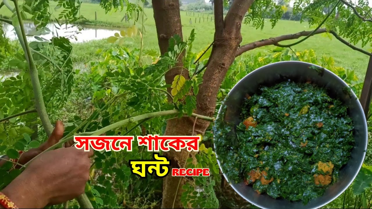 সজনে শাকের ঘন্ট রেসিপি | Sajne Shak recipe in Bengali | Bangalir ranna ...