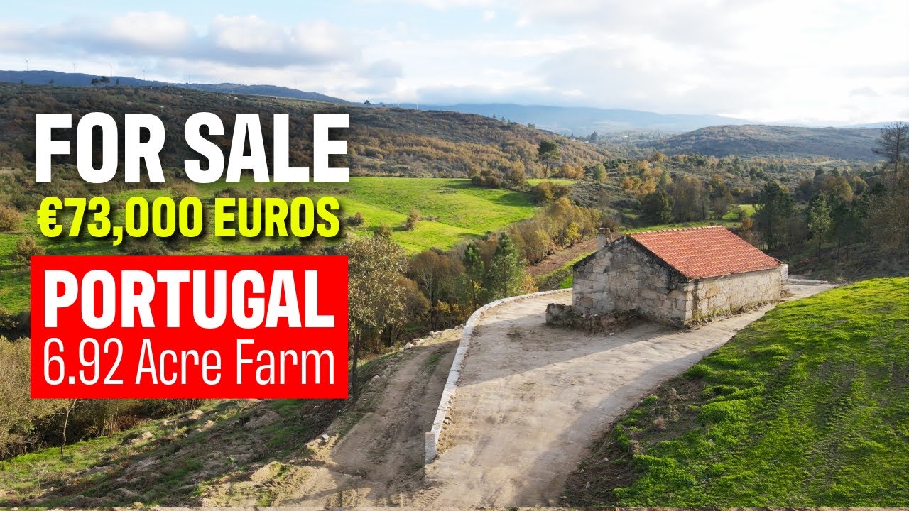 Portugal Farm Paradise for Sale! 2 Stone Houses, Stunning Views ...
