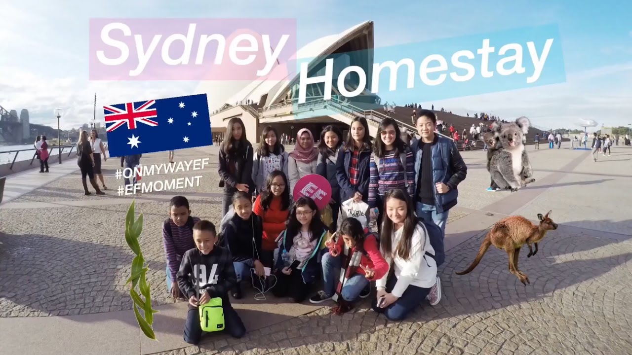 EF SYDNEY HOMESTAY 2016 - YouTube
