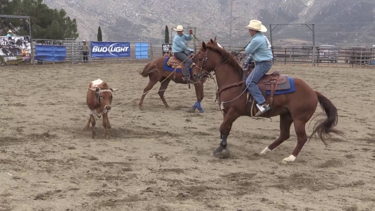 2016, Team Roping, Hot Rodeo - YouTube