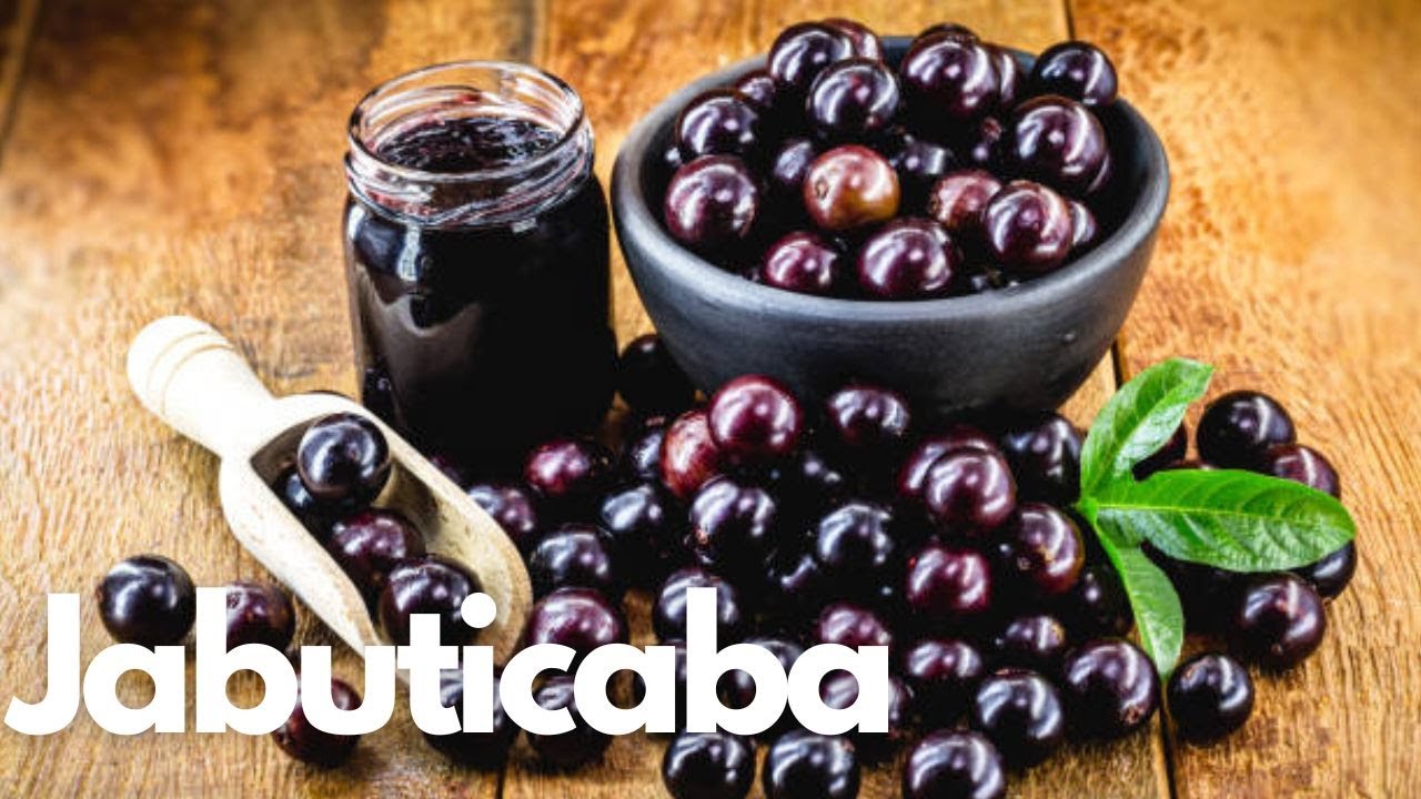 Discovering the Unique Jabuticaba Fruit! - YouTube