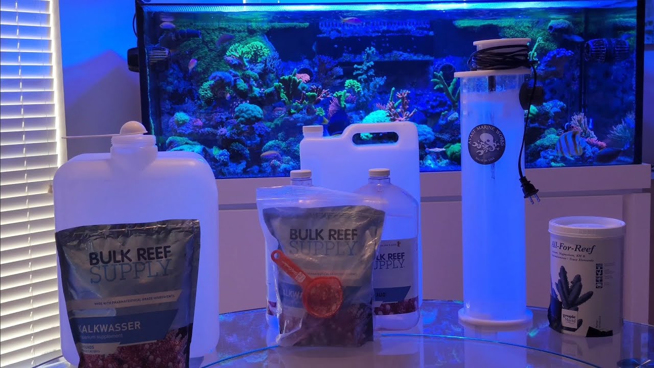 How I Dose My Reef Tank - YouTube