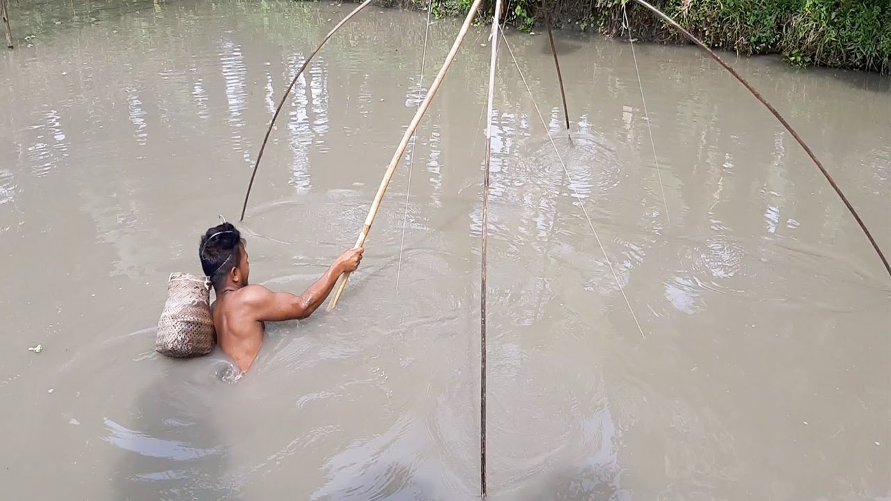 Net fishing in pond || Fish hunting with bamboo four corner nets - YouTube