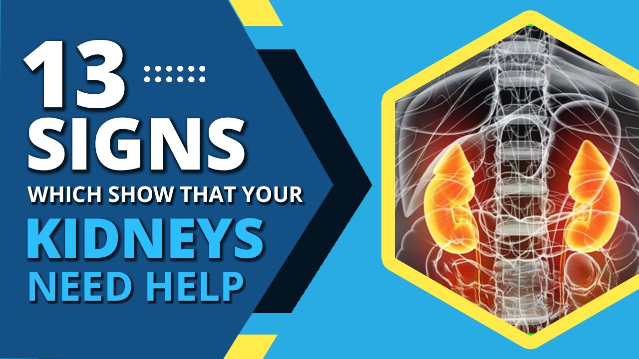 How To Spot Kidney Problems Early | 13 Warning Signs You Must Know ...