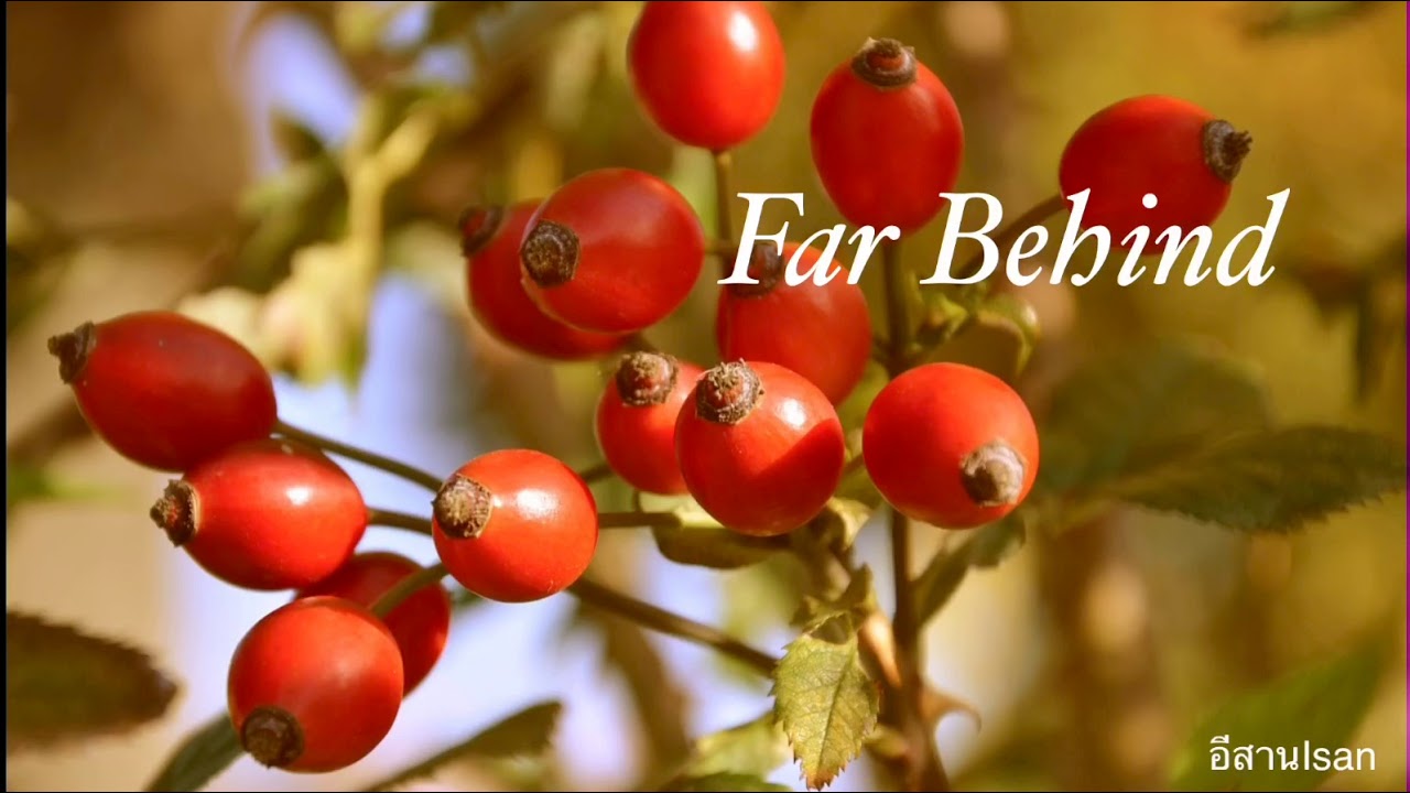Far Behind YouTube far-behind-youtube