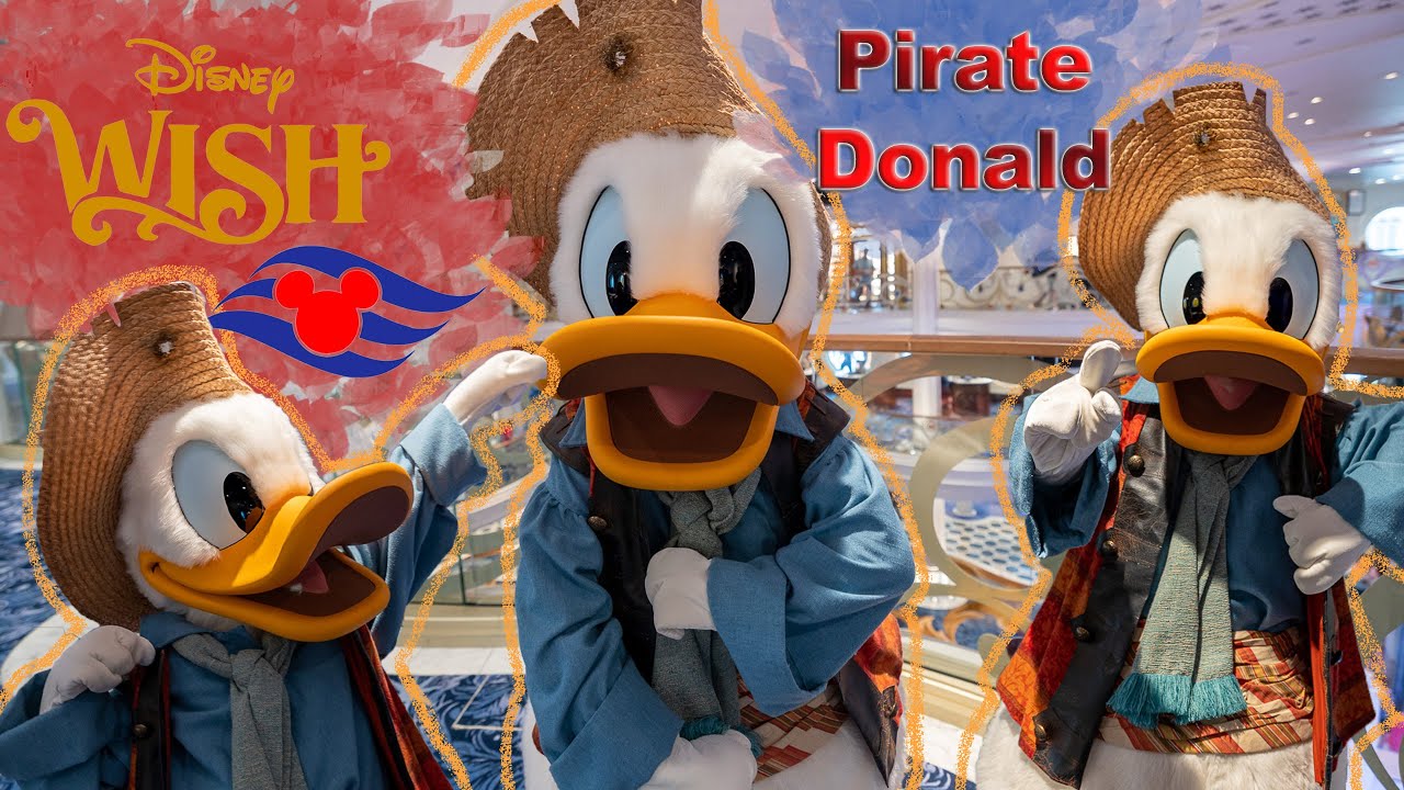 CALL THE CAPTAIN!! It's time for Donald Duck to be the next captain ...