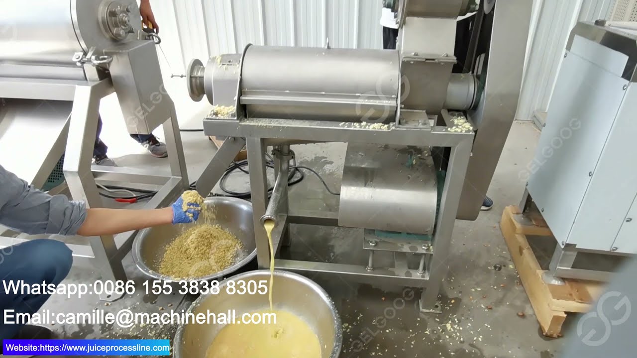 Ginger Juice Extractor Extraction Machine Philippines - YouTube