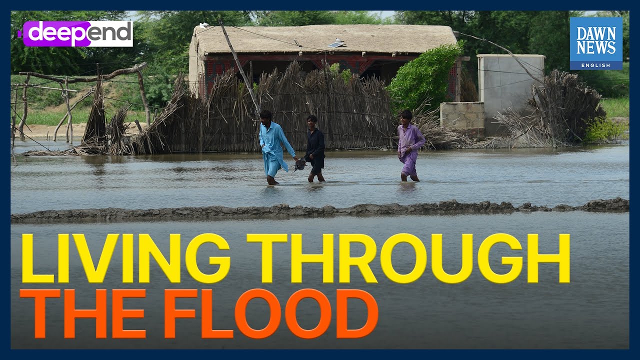 Surviving through the floods in Pakistan’s Sindh | DeepEnd | Dawn News ...