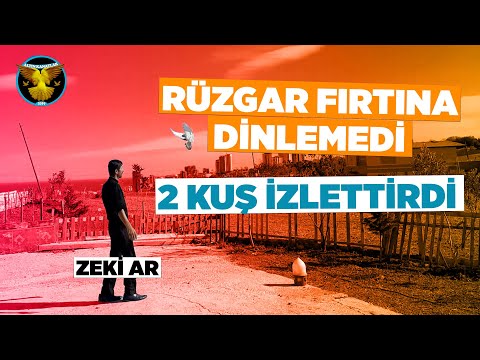 Sözünü tuttu kuş seyrine davet etti / güvercin videoları