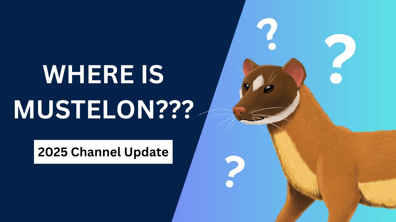 WHERE IS MUSTELON??? Channel Update 2025 - YouTube
