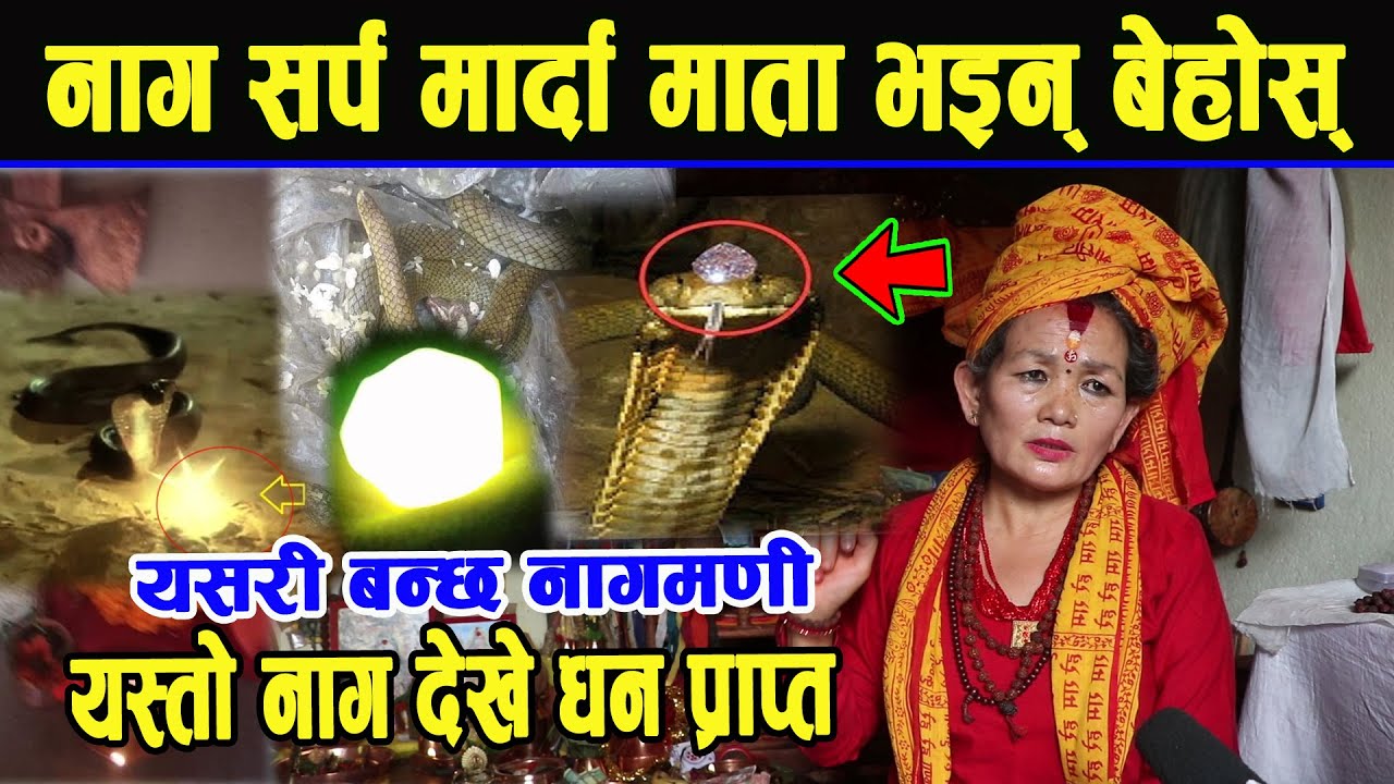 Naag Mani:बहुमुल्य नागमणि यसरी बन्छ, यस्ता नागले प्रशस्तै धन दिन्छ।Sita ...