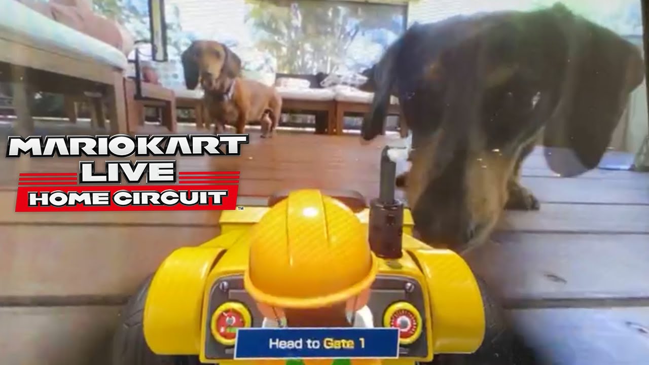 Mario Kart Live: Home Circuit - DECK, RAMPS and DOGS! - YouTube