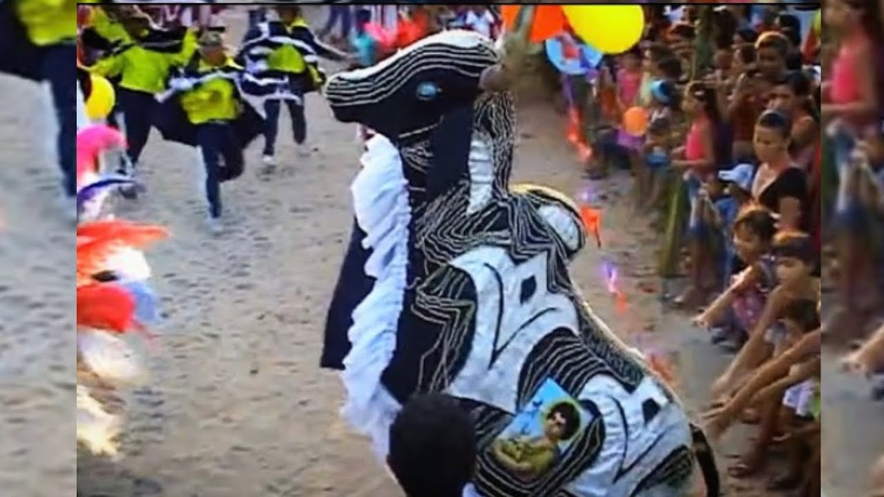 MORTE BOI IGARAÇU apresentação completa 2010 (boi do seu bandeira ...