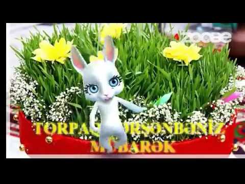 Torpaq cerwenbeniz mübarek