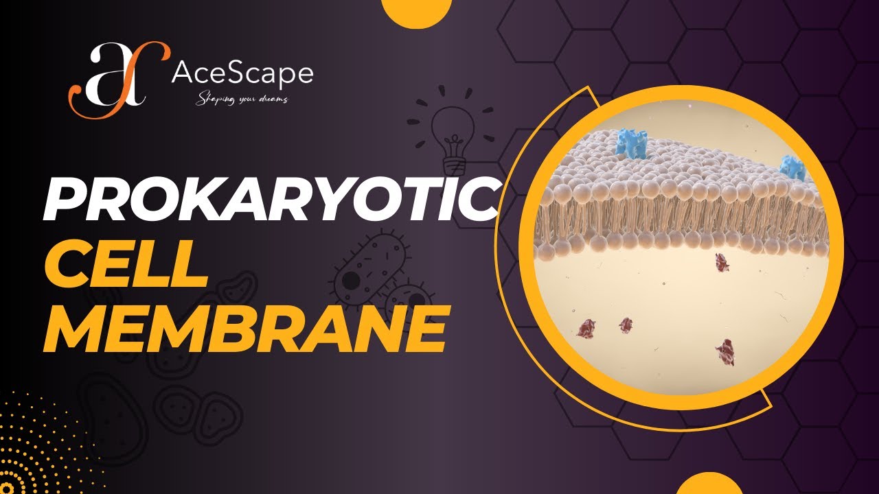 Mastering Prokaryotic Cell Membrane: A Complete Guide for GATE XL Exam ...