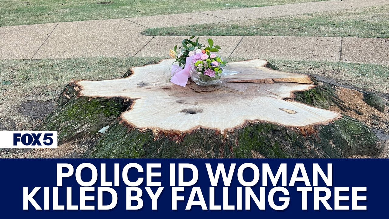 Police identify woman killed by falling tree branch in DC park - YouTube
