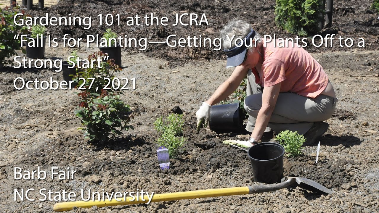 "Fall Is for Planting—Getting Your Plants Off to a Strong Start" - YouTube