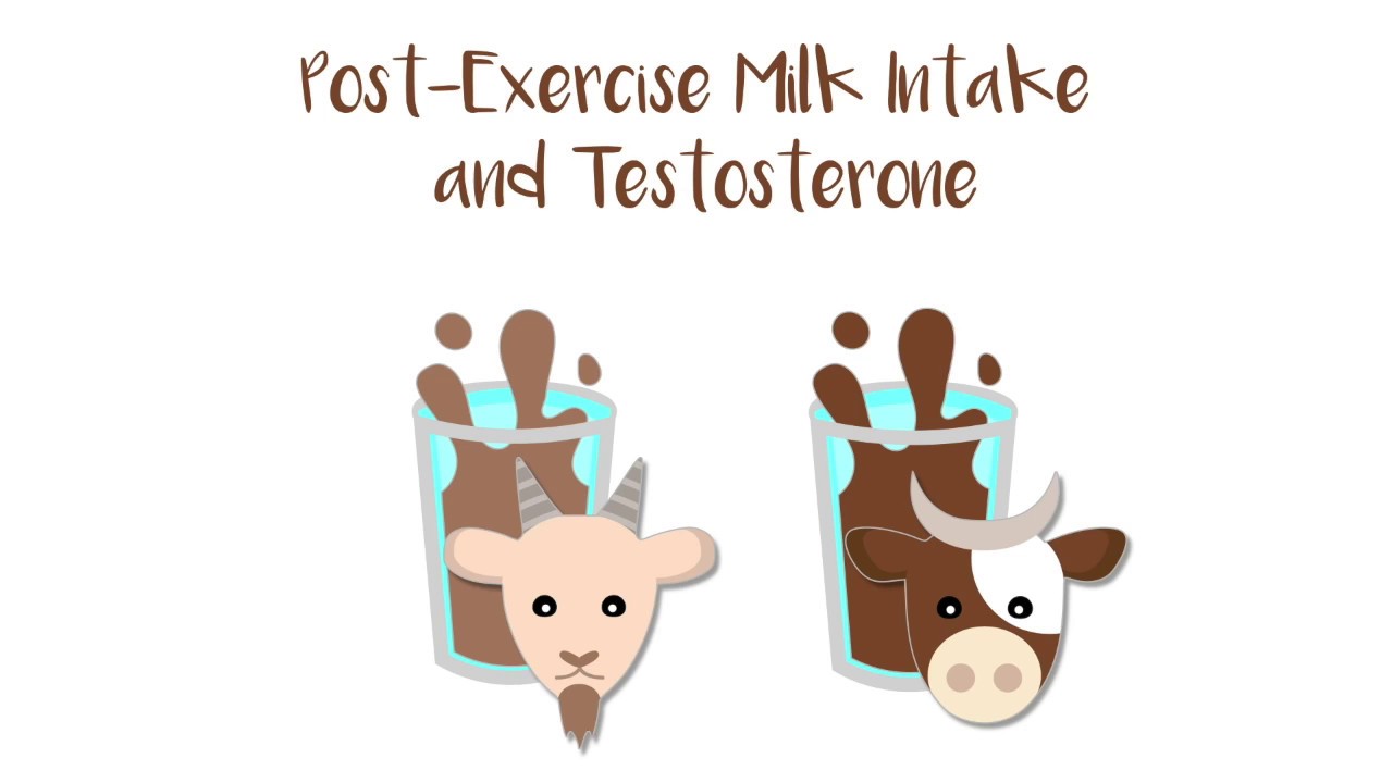 Post-Exercise Milk Intake and Testosterone - YouTube