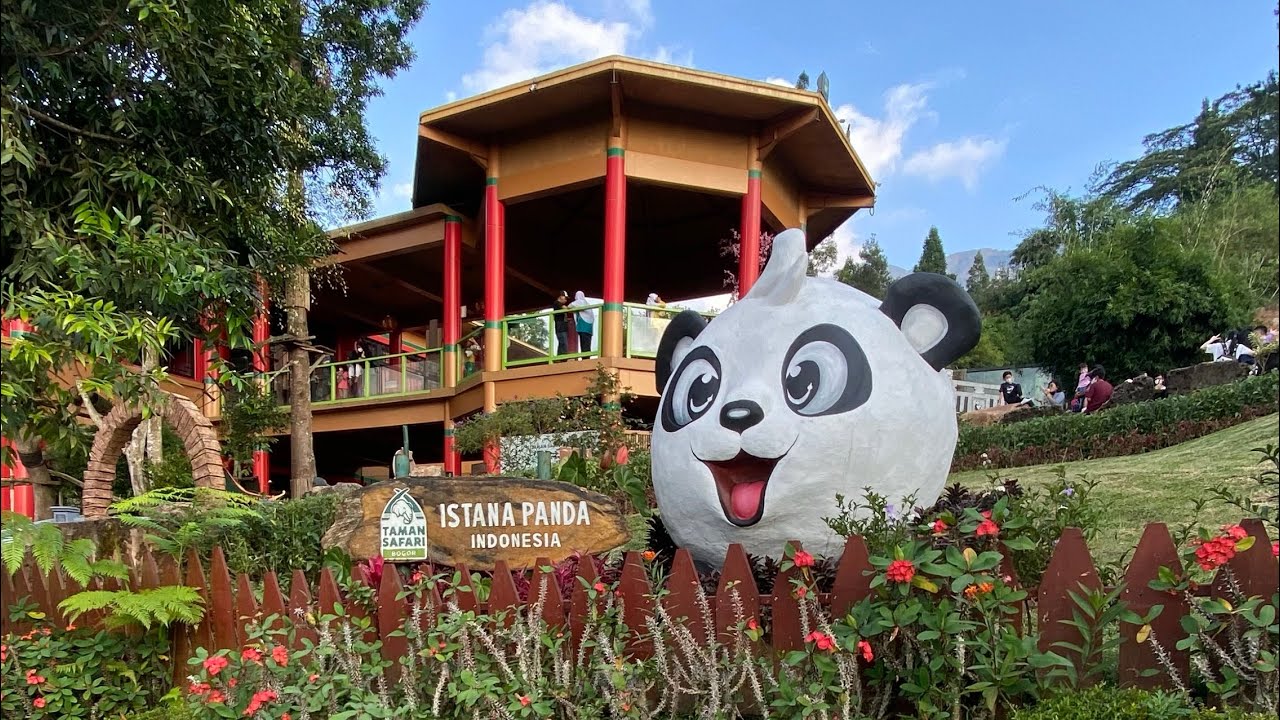 Istana Panda Taman Safari Indonesia - YouTube
