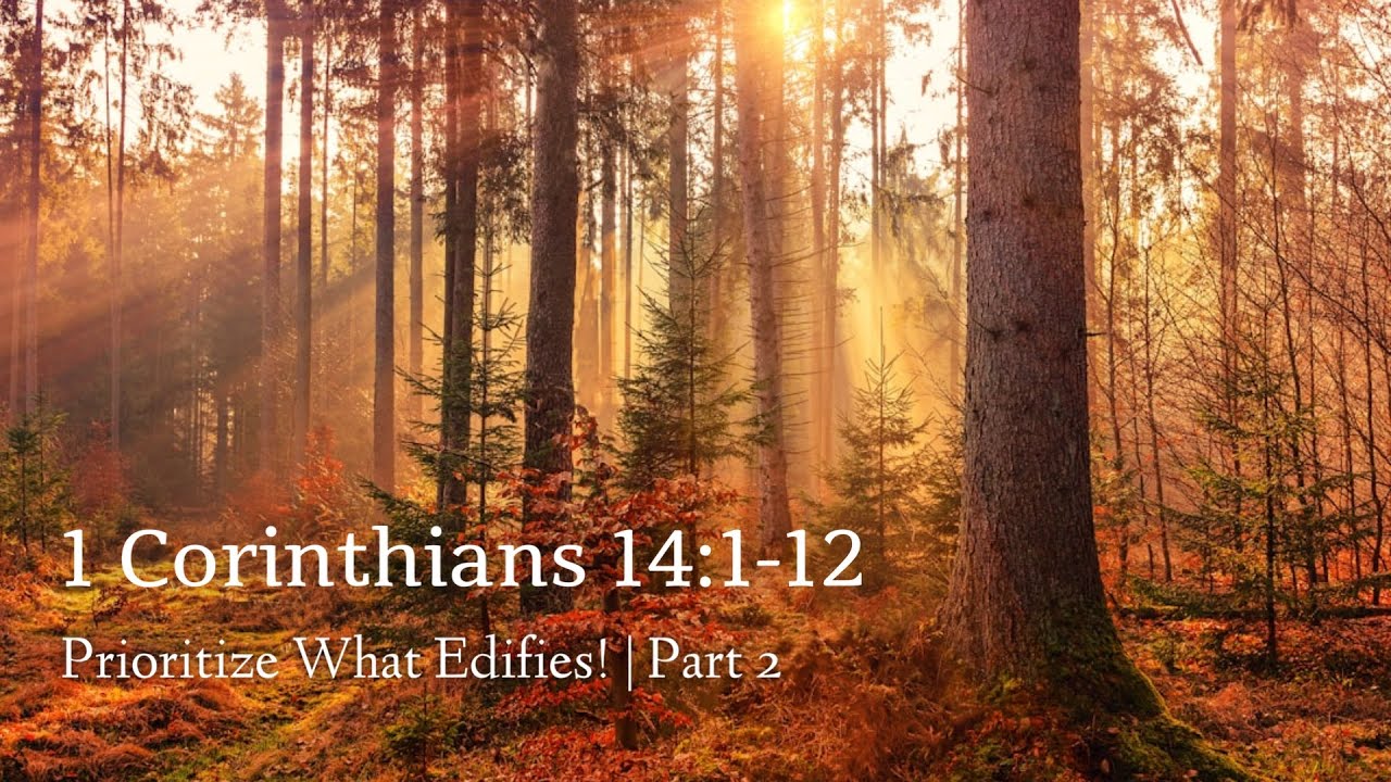 1 Corinthians 14:1-12 | Prioritize what Edifies! | Part 2 - YouTube