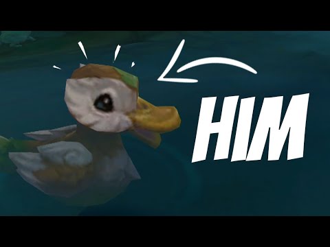 The League of Legends Duck - YouTube