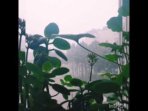 Nahide Babaşlı -seni çok özledim...