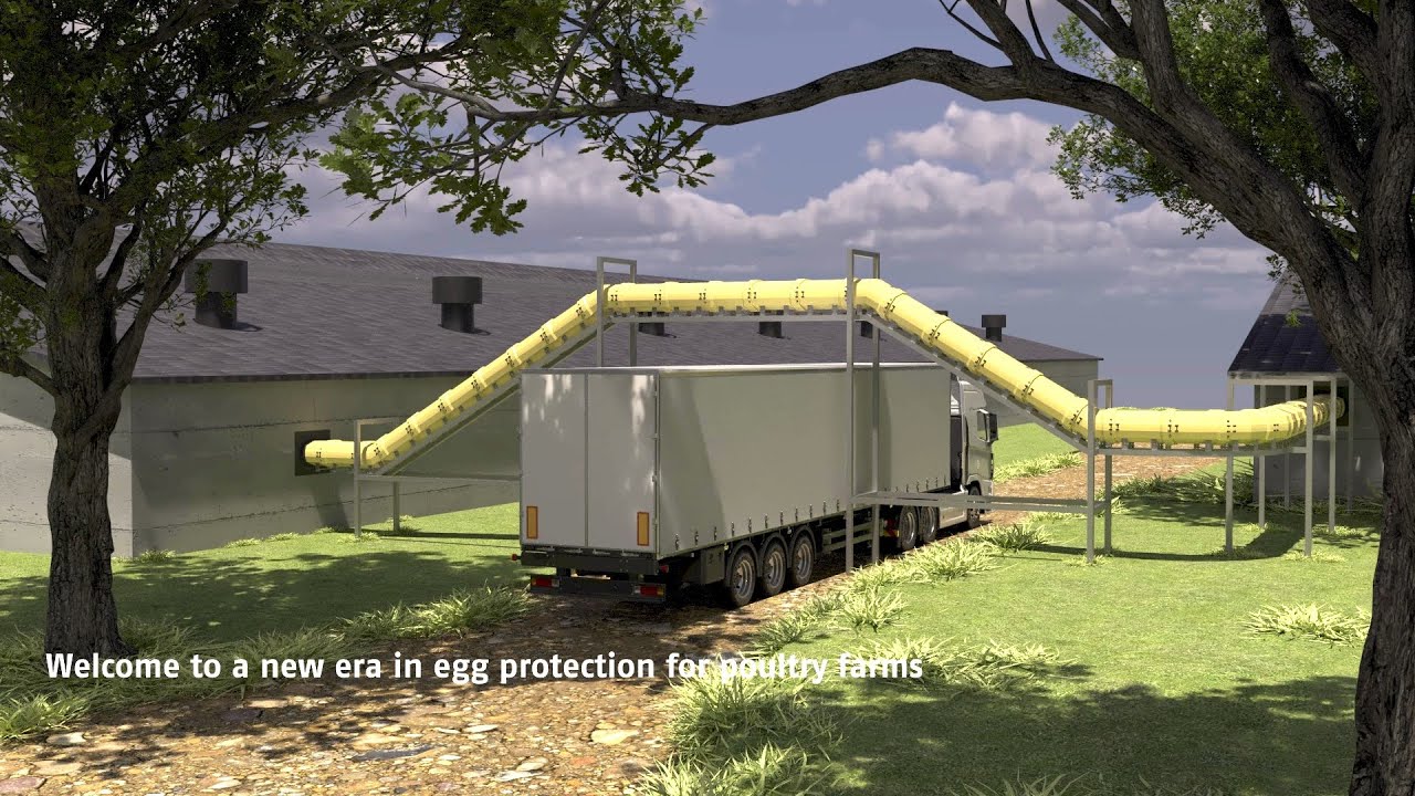 ECC500: Innovating egg conveyor protection | Protect your eggs ...