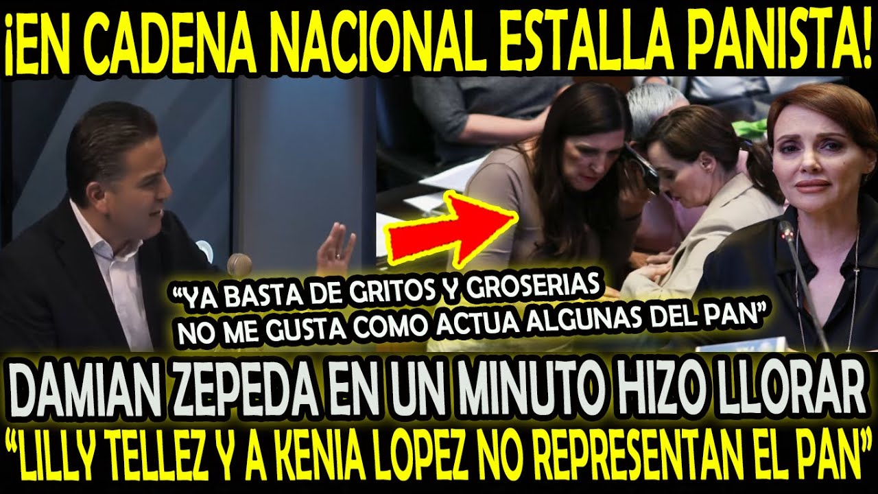 EN CADENA NACIONAL DAMIAN ZEPEDA SE HARTO ESTALL4 CONTRA LILLY TELLEZ Y ...