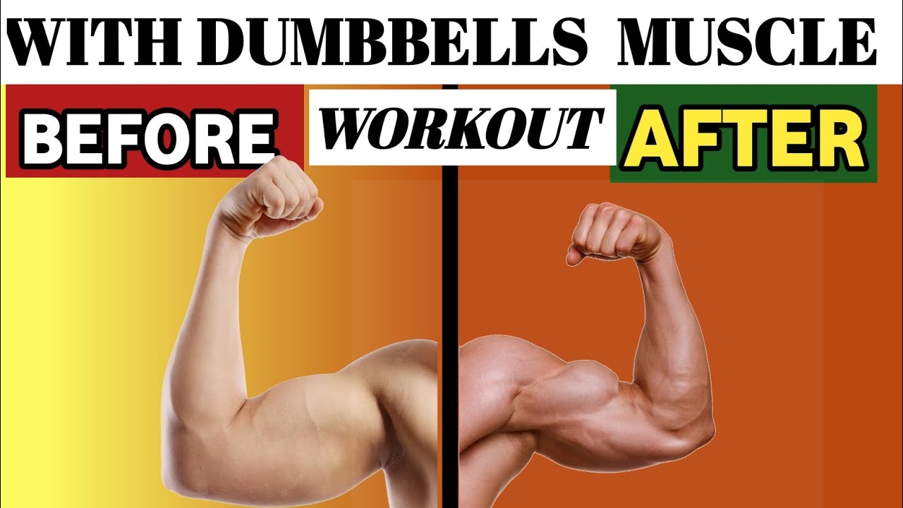 DAILY MUSCLES WORKOUT WITH DUMBBELLS | BEGINNER MUSCLE WORKOUT ...