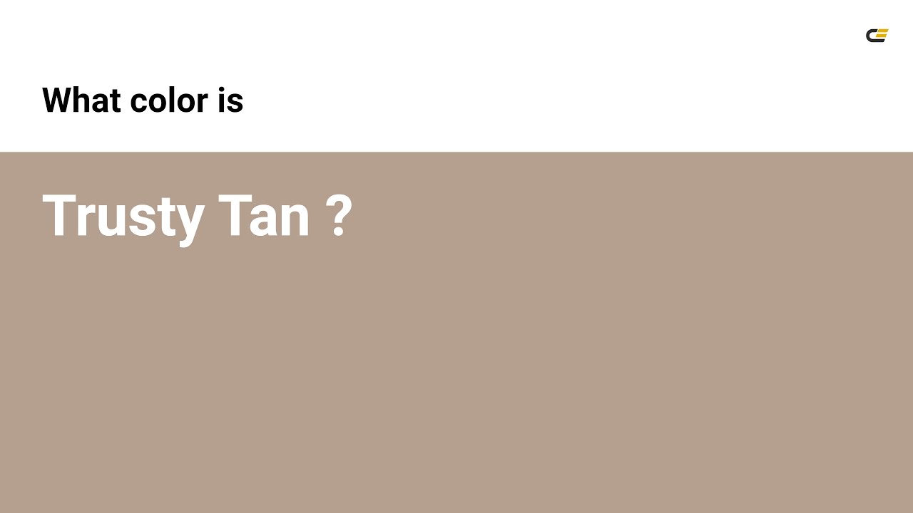 Trusty Tan color #b59f8f hex color - Brown color - Cool color b59f8f ...