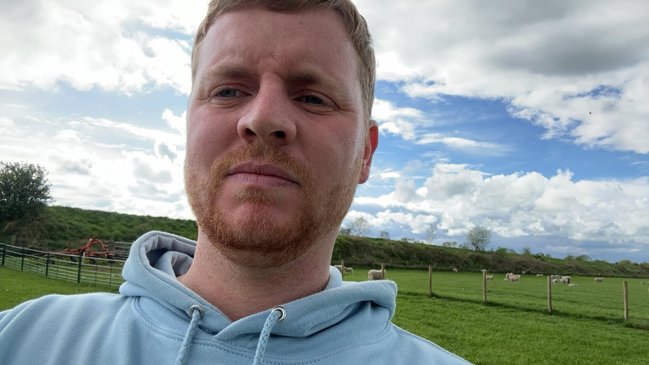 Dalscone Farm is going live! Moving our pregnant cow! - YouTube