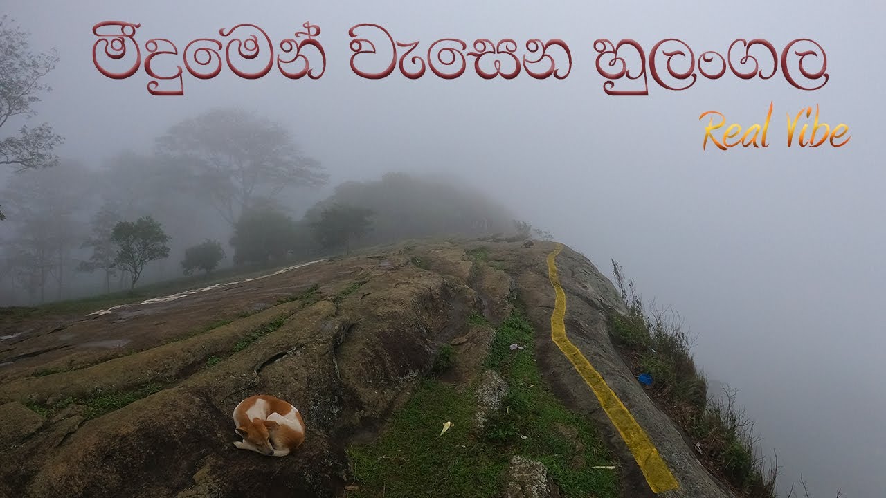 HULANGALA / මීදුමෙන් වැසෙන හුලංගල / Sri Lanka #travel #nature - YouTube