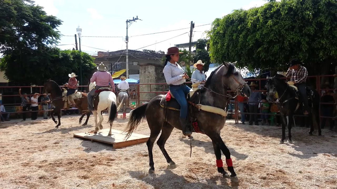 Demostración de baile de caballos. .mp4 - YouTube