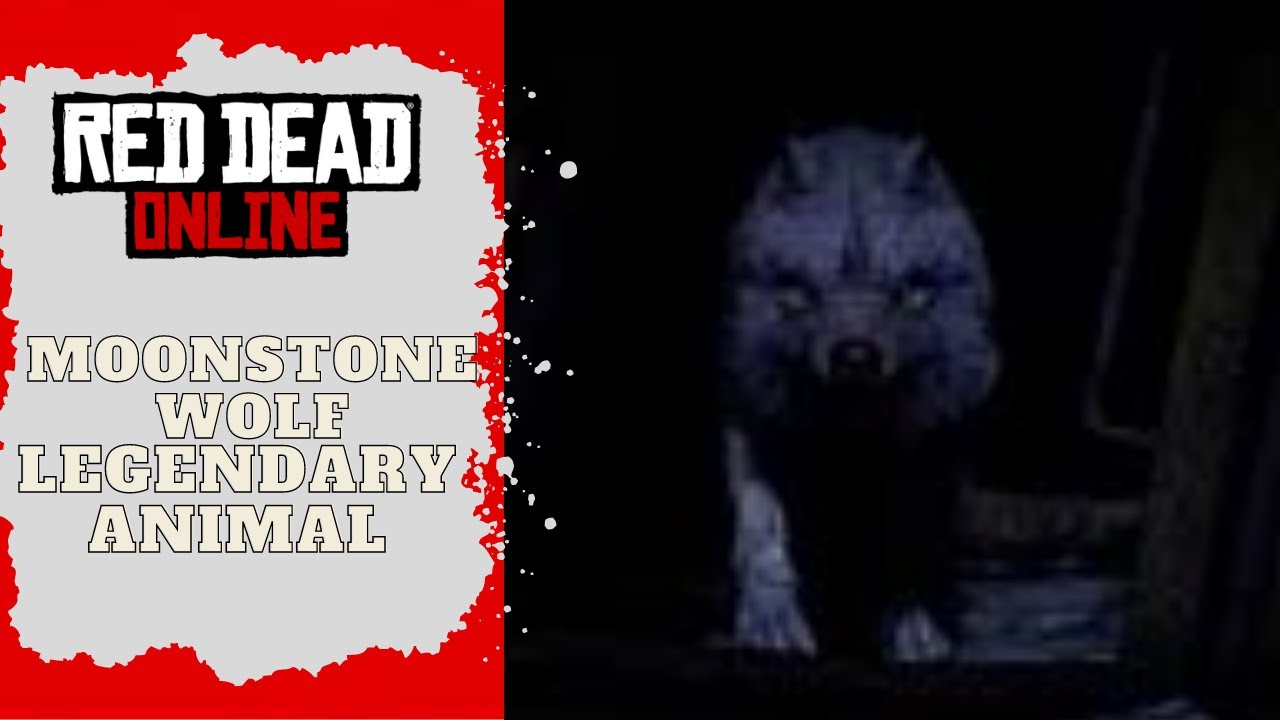 Moonstone Wolf Red Dead Redemption 2 Legendary Animal - YouTube