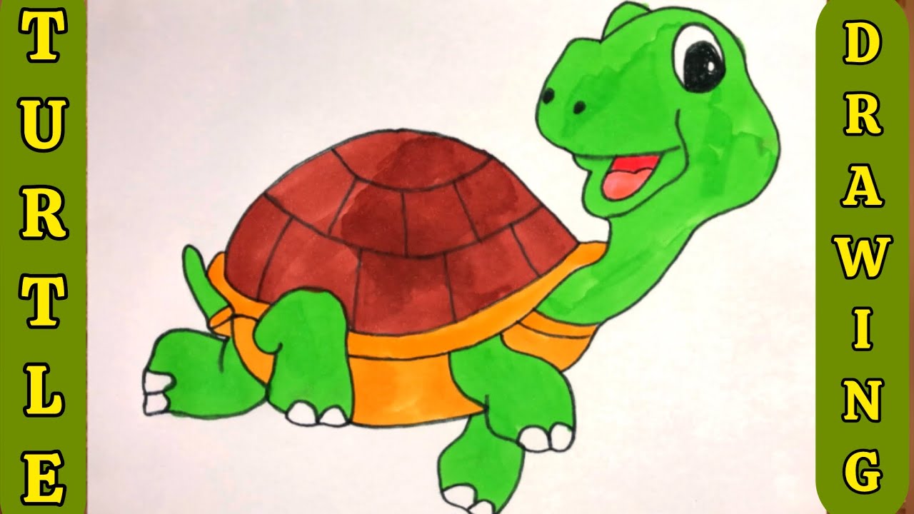 How to draw Tortoise Turtle Easily. Drawing and colouring Tortoise 🐢 ...
