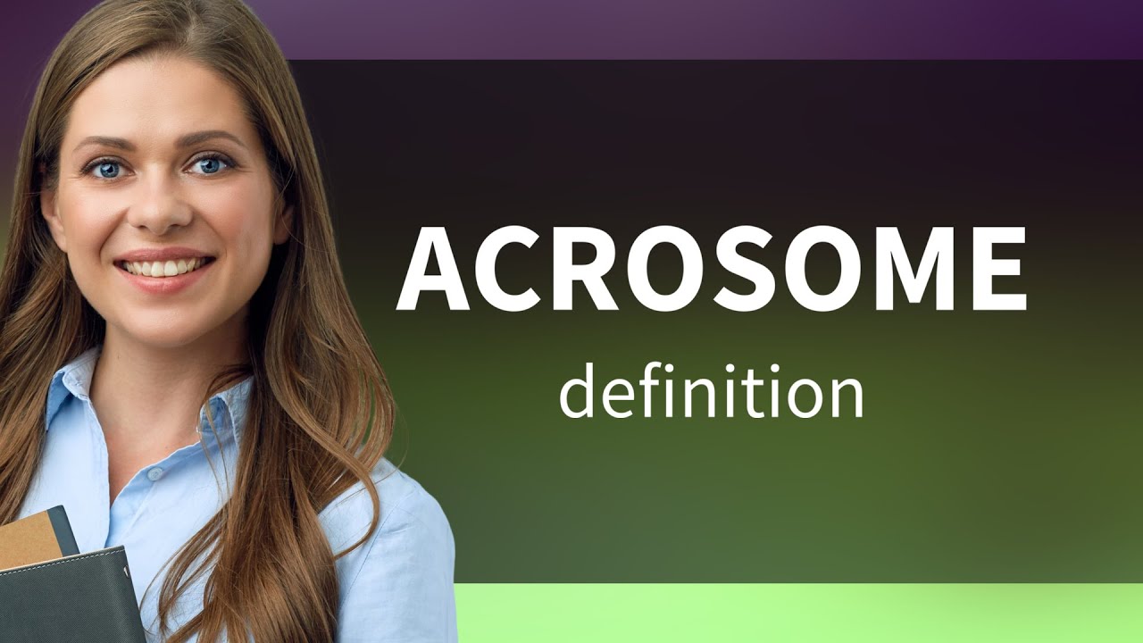 Acrosome | ACROSOME meaning - YouTube
