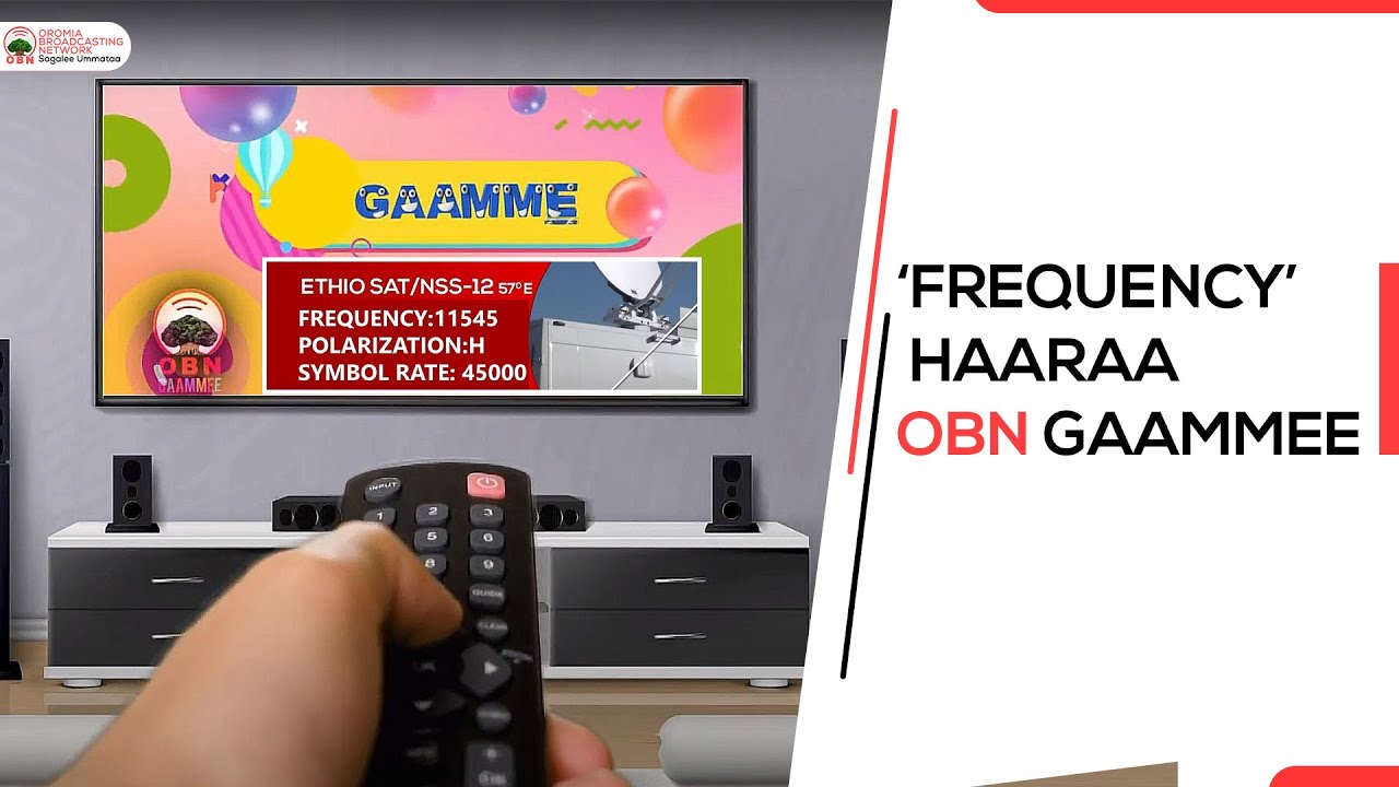 ‘Frequency’ Haaraa OBN Gaammee - YouTube