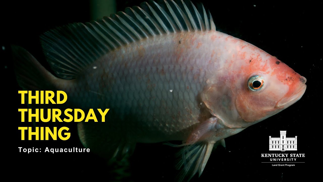 Third Thursday Thing: Aquaculture - YouTube