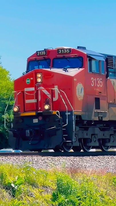 Canadian National Intermodal Train Rumbling Through Plainfield - YouTube