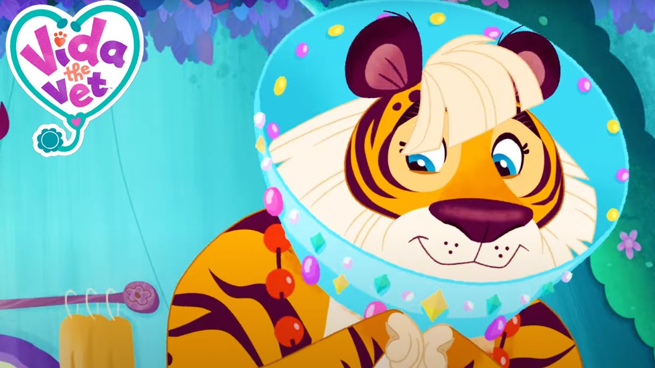 Koa's Cone! | Vida the Vet Full Episodes | Cartoons for Kids - YouTube